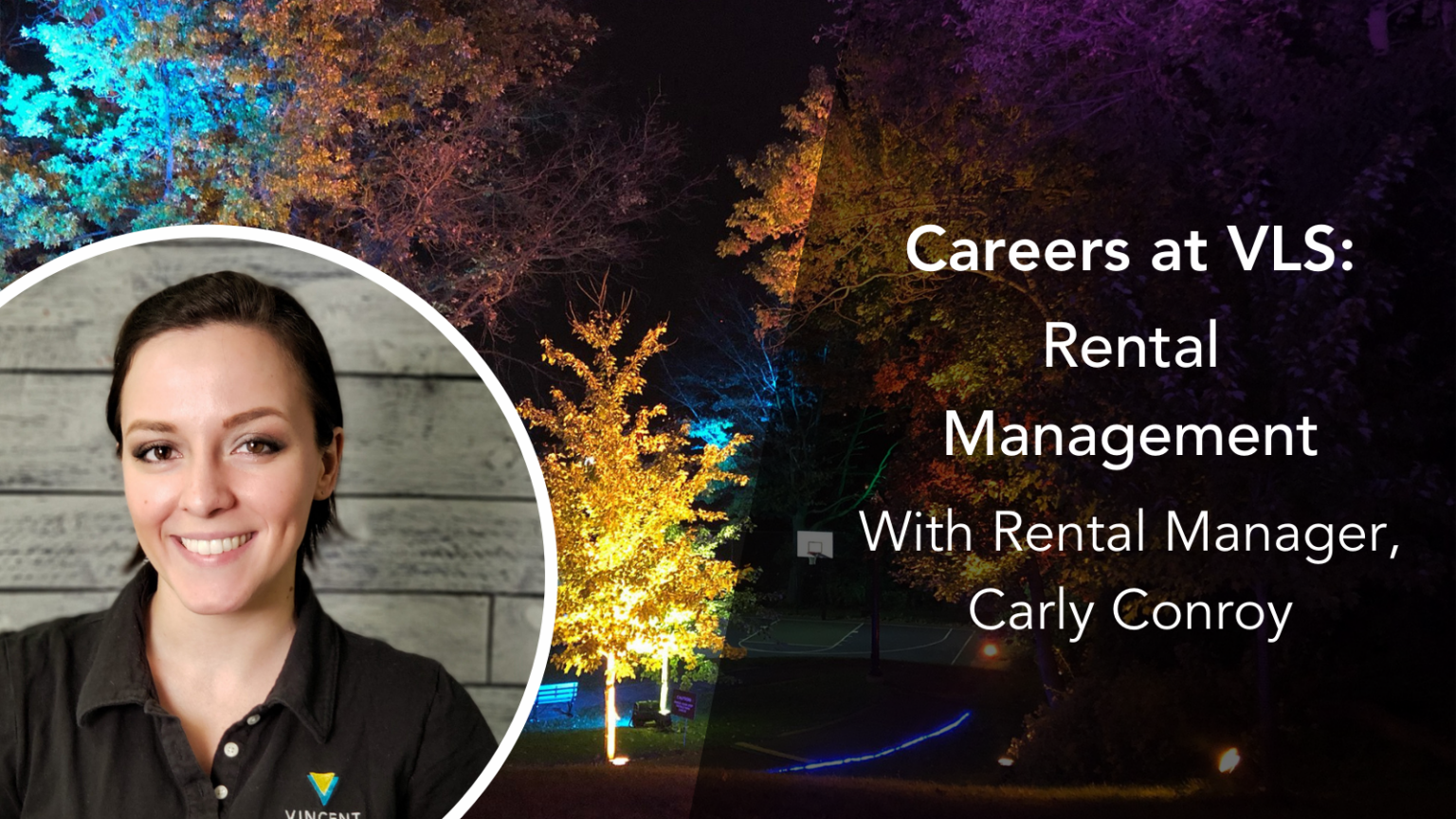 VLS — Your Solution for Lighting Sales, Service, and Training